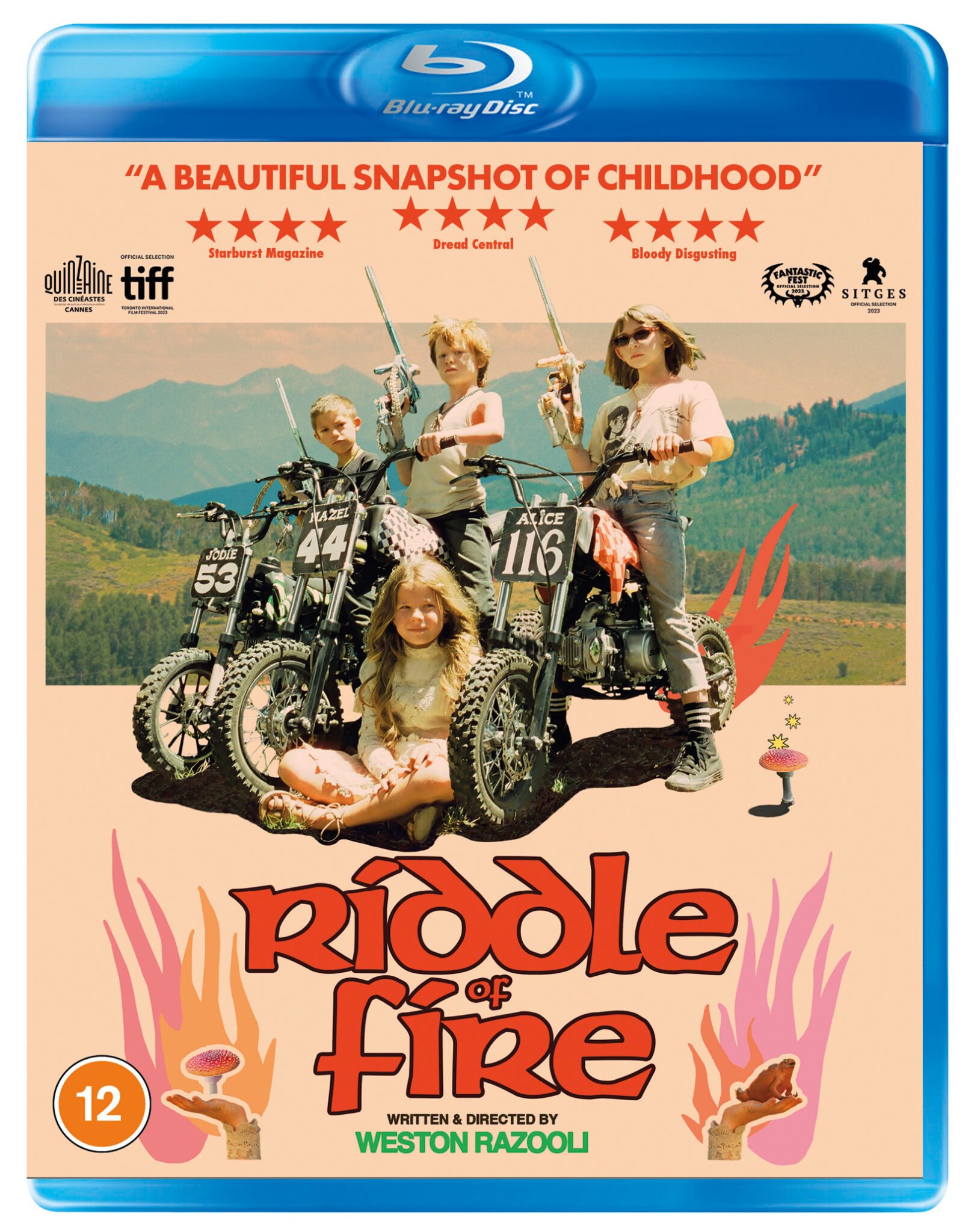 Riddle of Fire - Blueprint: Review