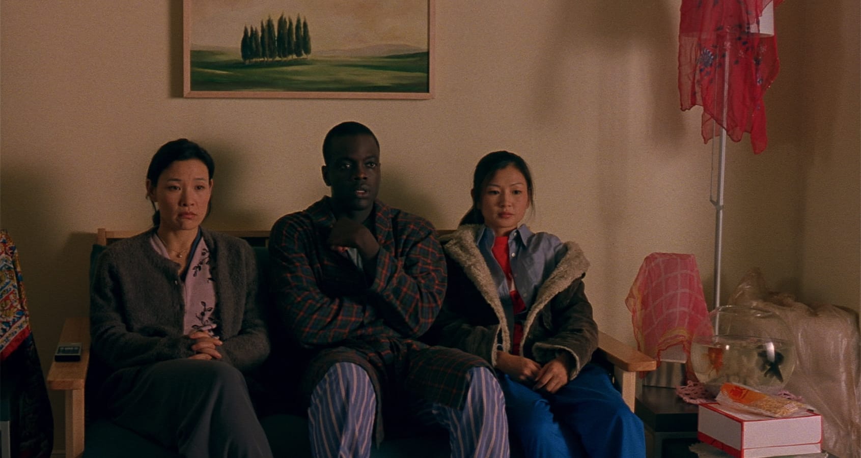 Saving Face - Criterion - Blueprint: Review
